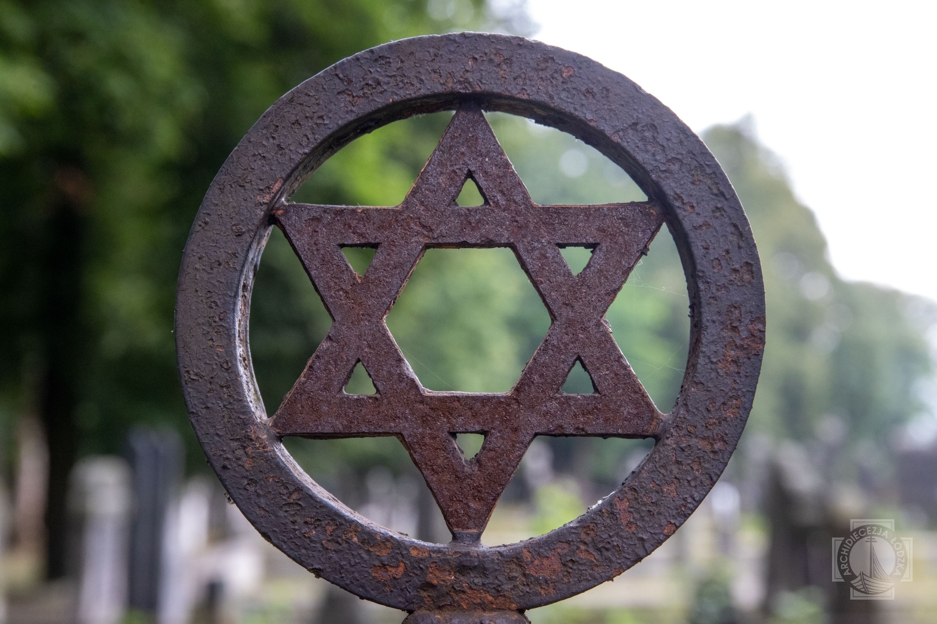 Obchody Dnia Judaizmu w Kościele Katolickim w Łodzi | Archidiecezja Łódzka